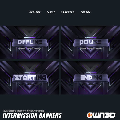 Rayden Intermission Banner - Offline, Pause, Start & End Screens - OWN3D
