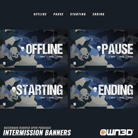 DAYZ Cherno Intermission Banner - #1 Shop for Streamers | OWN3D