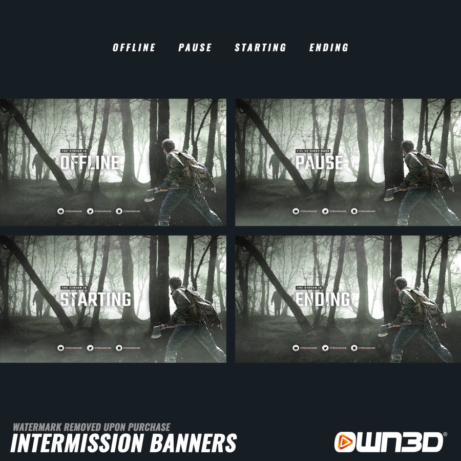DAYZ Infected Intermission Banner - Offline, Pause, Start & End Screens ...