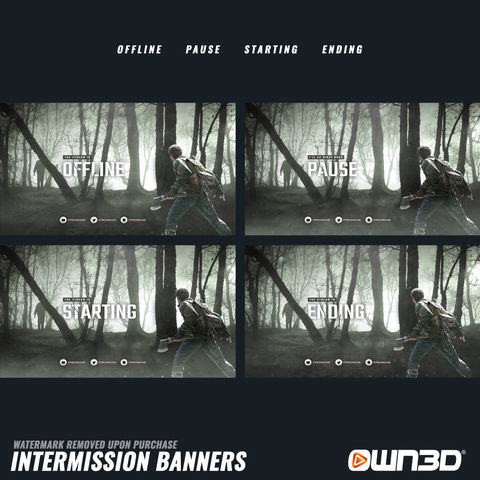 DAYZ Infected Intermission Banner - Offline, Pause, Start & End Screens ...