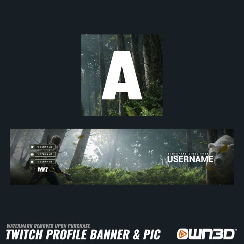 DAYZ Livonia Twitch Profile Banner - OWN3D