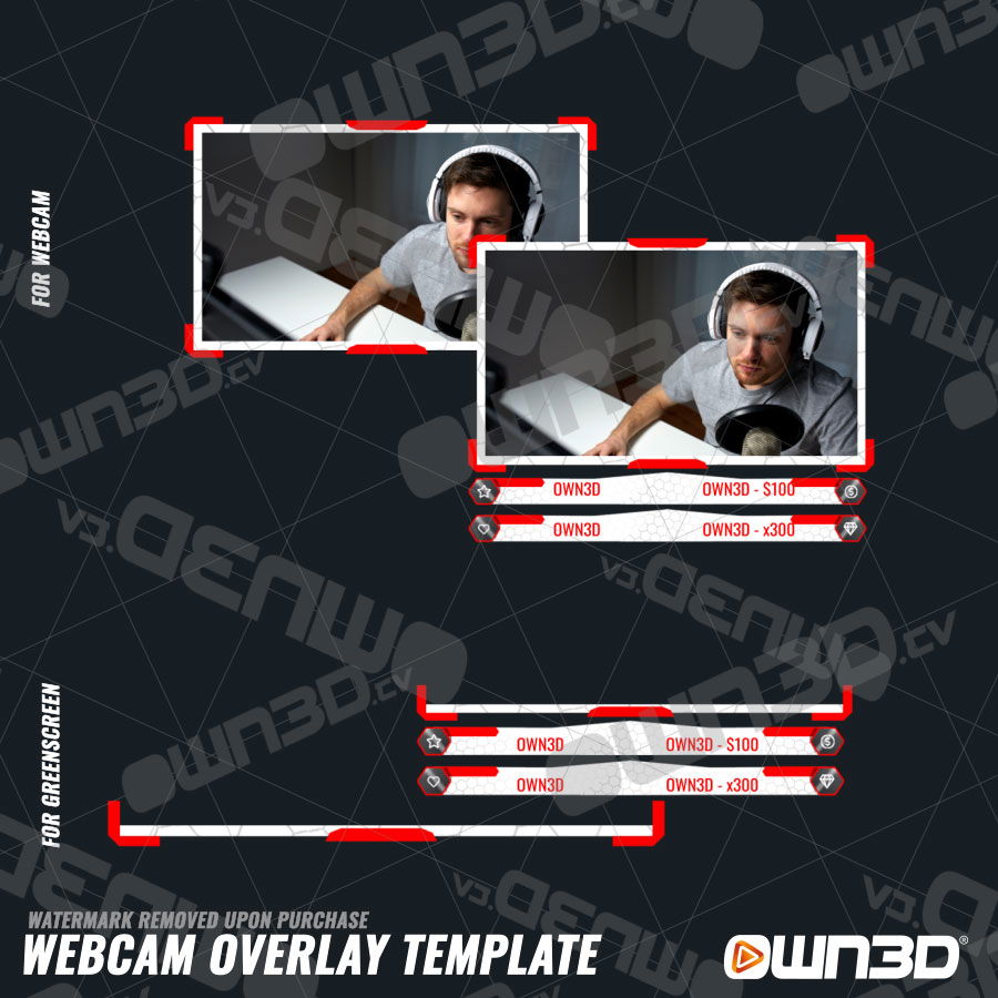 Skull Trooper Webcam Overlays - #1 Streamer Shop | OWN3D