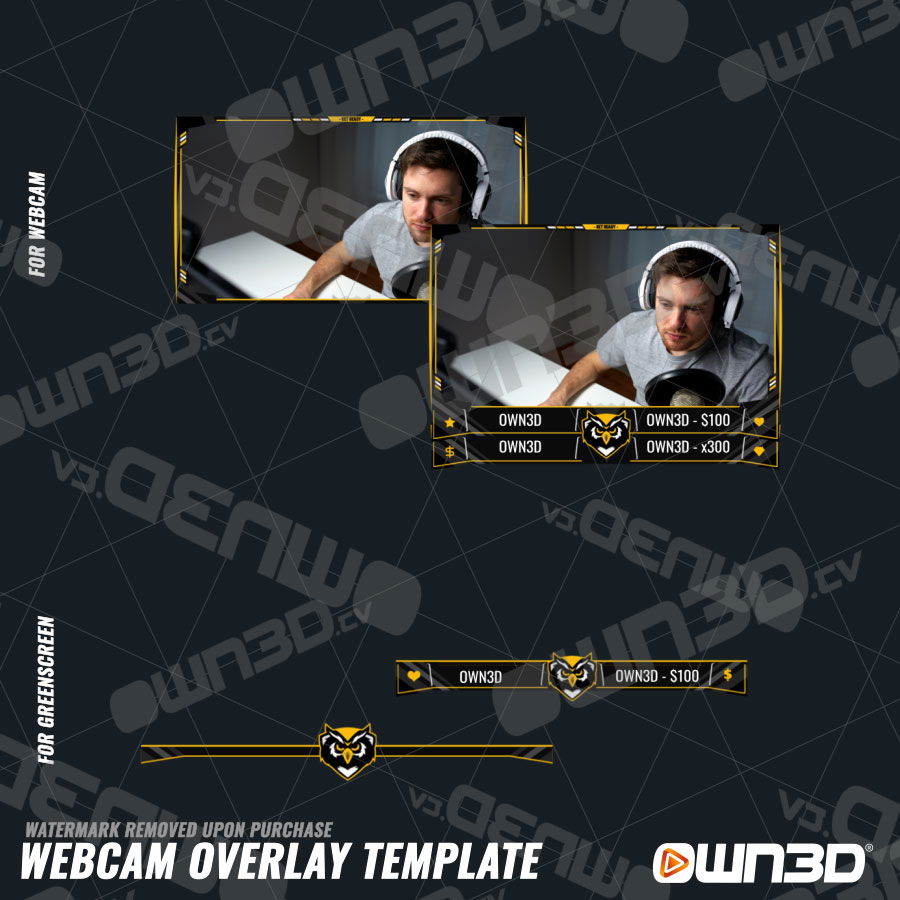 Pandarian Webcam Overlays - #1 Shop for Streamers | OWN3D