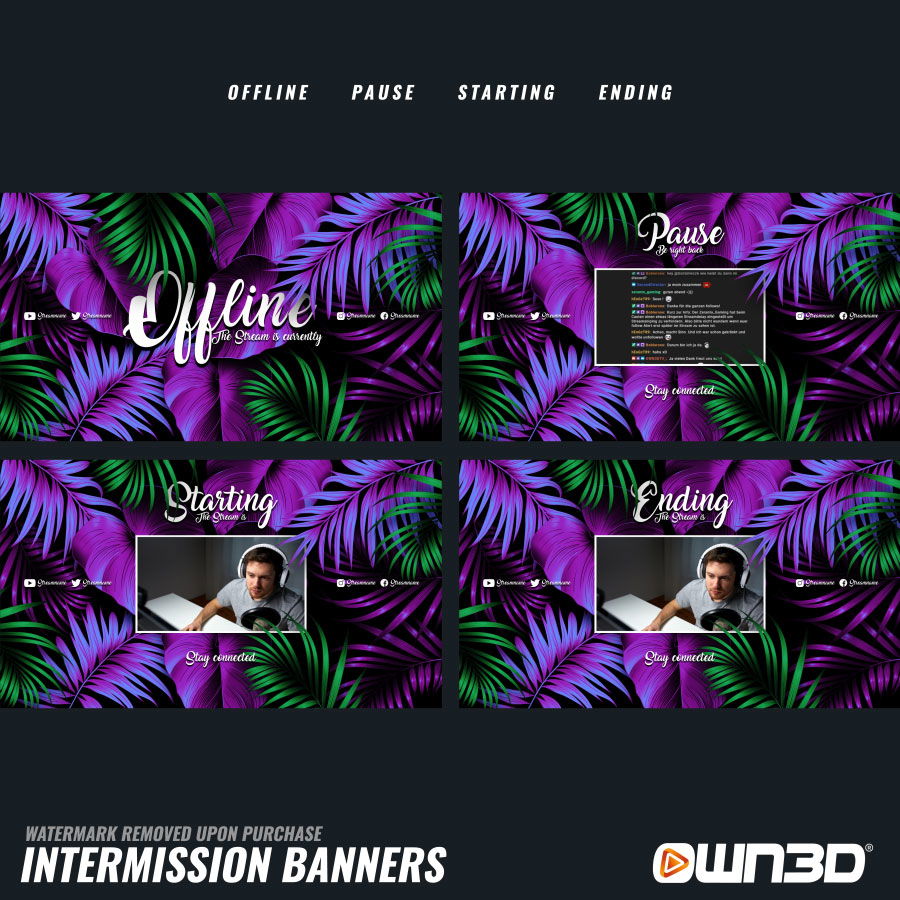 Tropical Intermission Banner - Offline, Pause, Start & End Screens - OWN3D