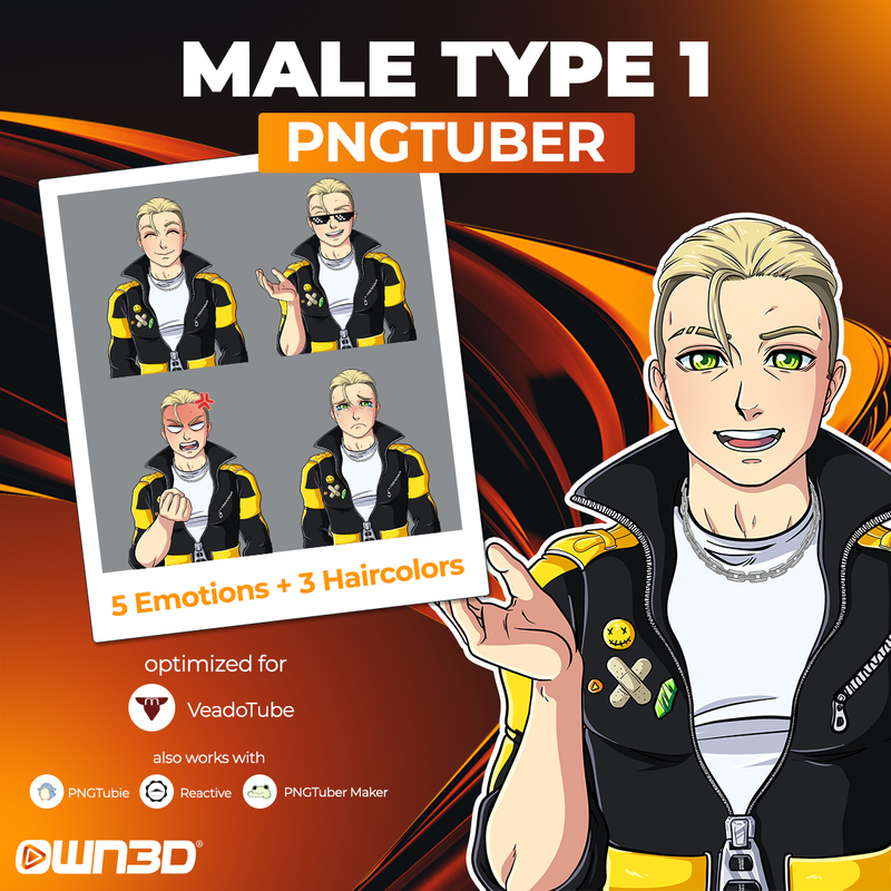 Animated Male Type 1 VTuber Models - OWN3D