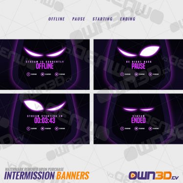 Raven Intermission Banner - Offline, Pause, Start & End Screens - OWN3D