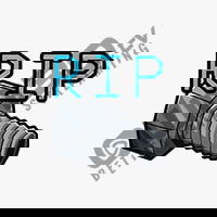 Cyborg RIP Twitch Sub Emote | Twitch Sub Emotes - OWN3D