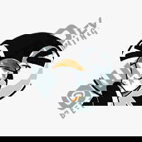 Penguin LOL Twitch Sub Emote | Twitch Sub Emotes - OWN3D