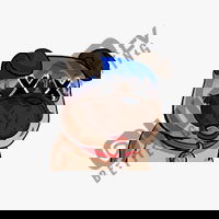 Mops RIP Twitch Sub Emote | Twitch Sub Emotes - OWN3D