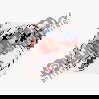 Santa RIP Twitch Sub Emote | Twitch Sub Emotes - OWN3D