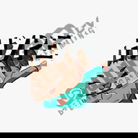 Minecraft-Hype Twitch Sub Emote | Twitch Sub Emotes - OWN3D